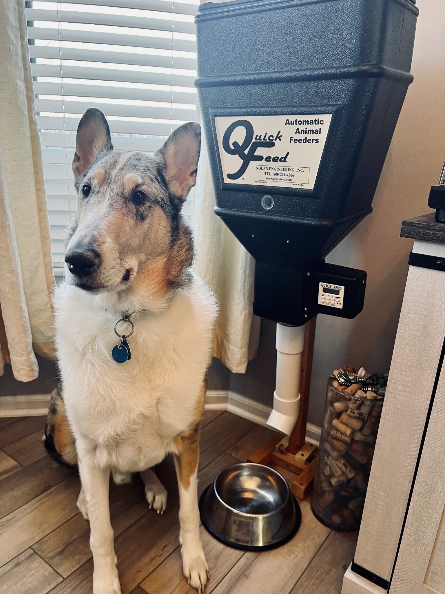 Automatic Electronic Feeder – Quick Feed Automatic Feeders